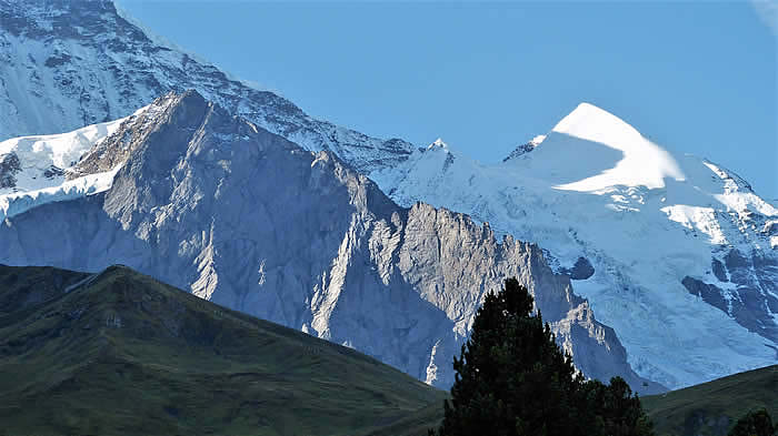 Silberhorn, 3690 Meter, Berner Alpen, Schweiz